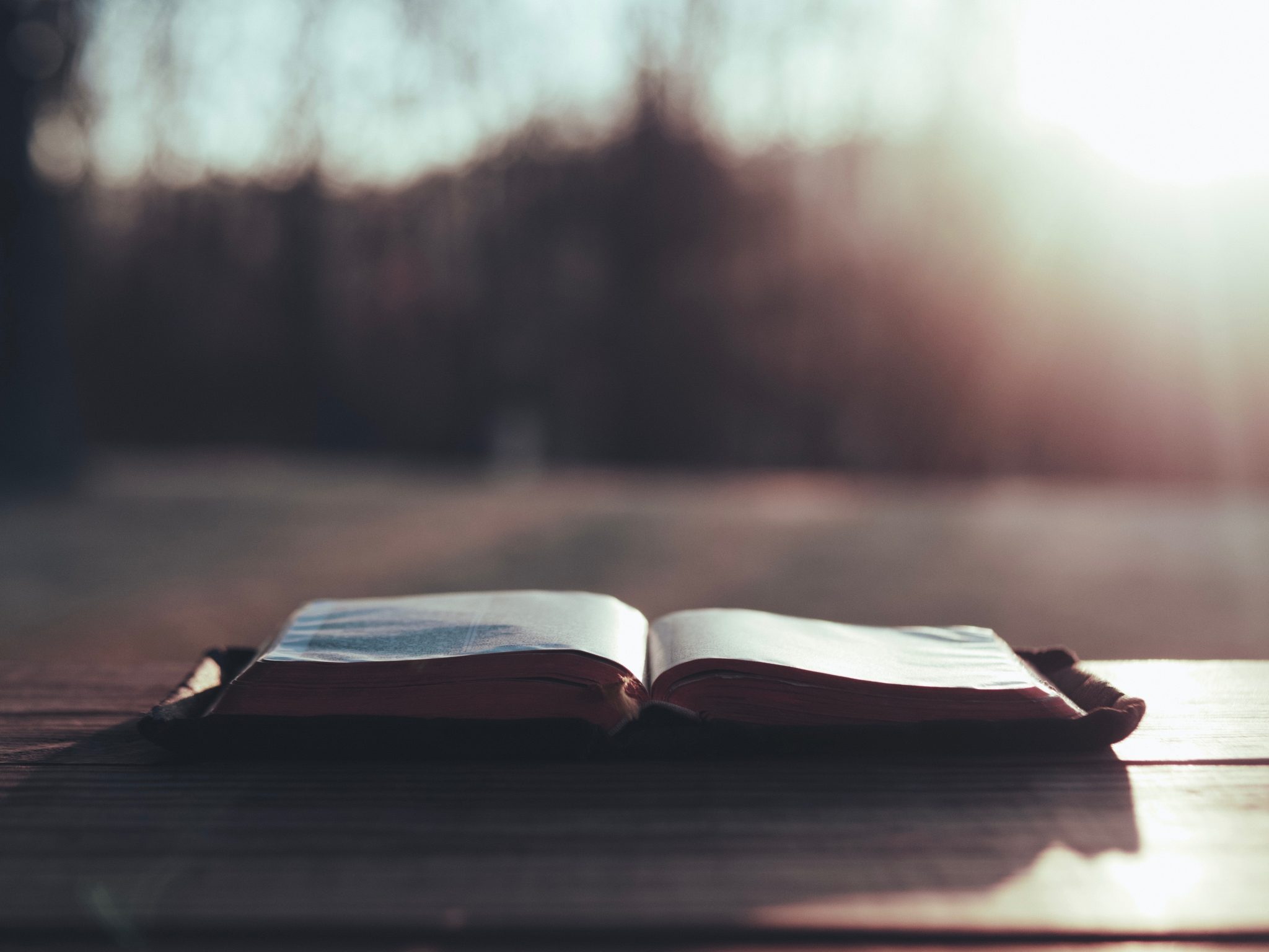 Peter, Paul, and the Gentile Table - Clear Creek Resources